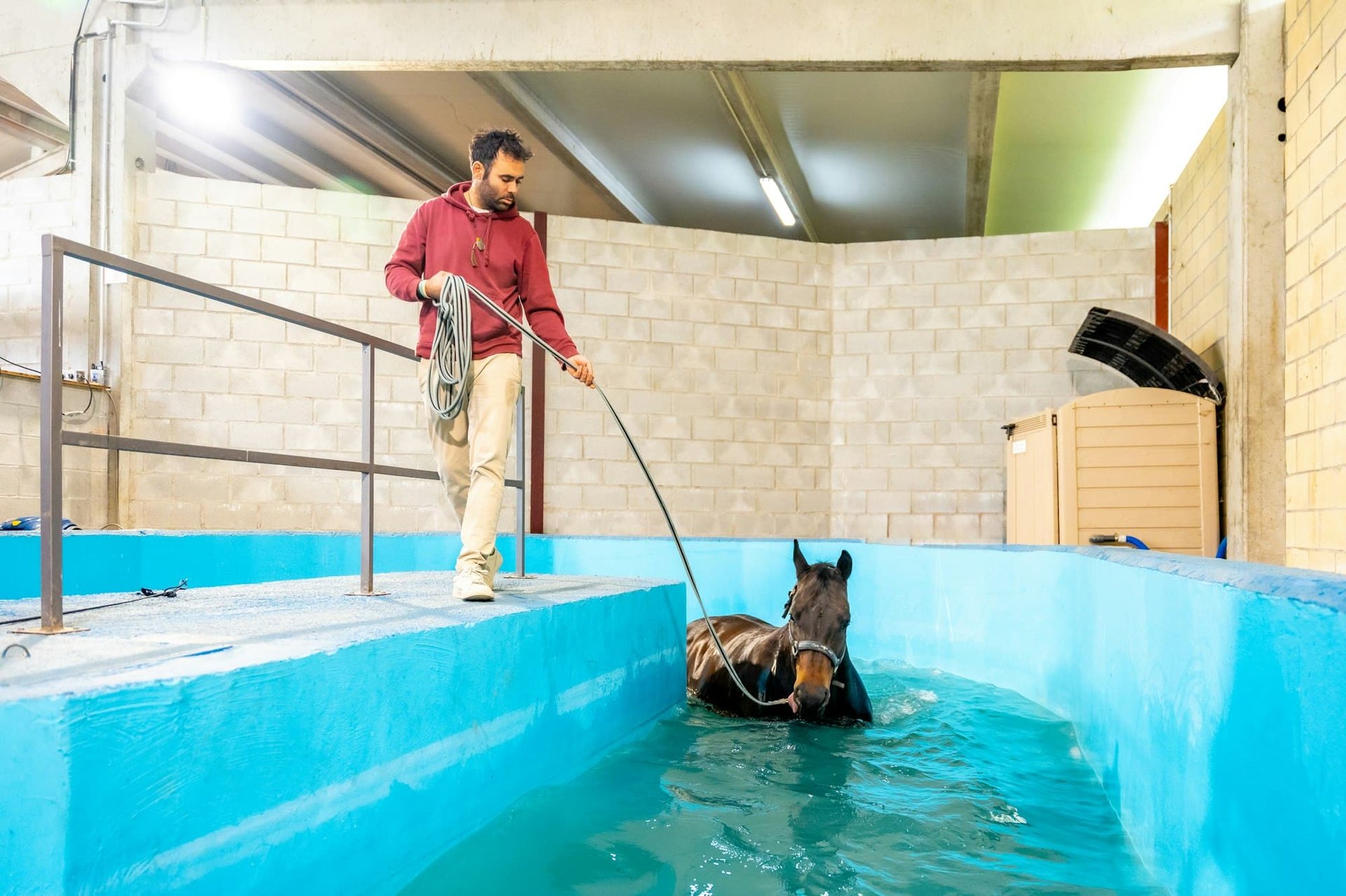 How Can Underwater Treadmill Training Benefit Rehabilitation in Track ...